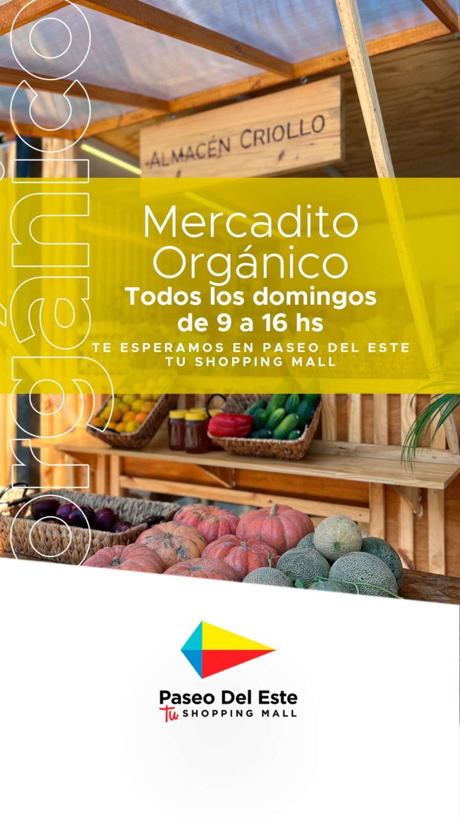 Mercadito orgánico en Shopping Paseo del Este | Intendencia Maldonado