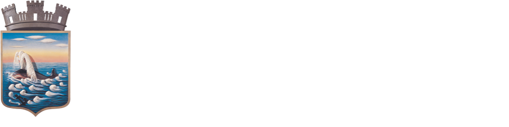 Digesto Departamental | Intendencia Maldonado
